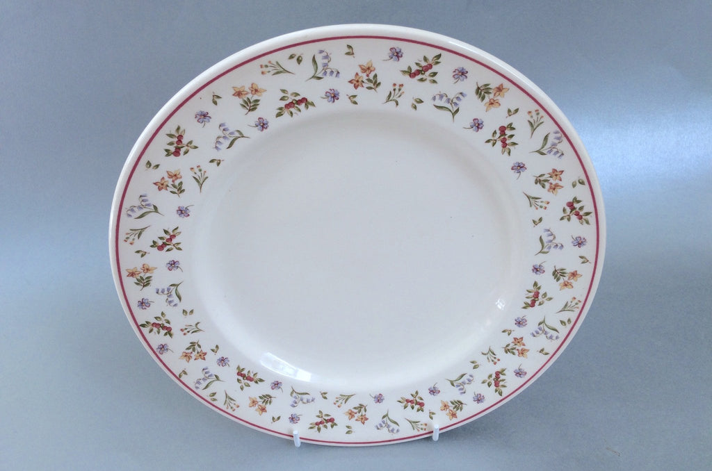BHS - Ashley - Dinner Plate - 9 7/8" – The China Village